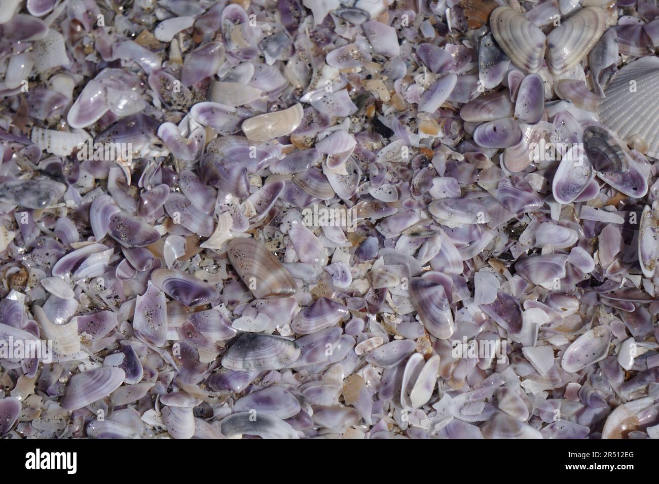 Egypt mediterranean coast hi-res stock photography and images - Alamy