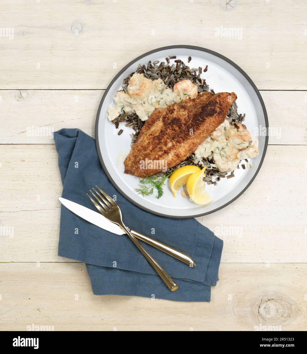 Catfish studio hi-res stock photography and images - Alamy