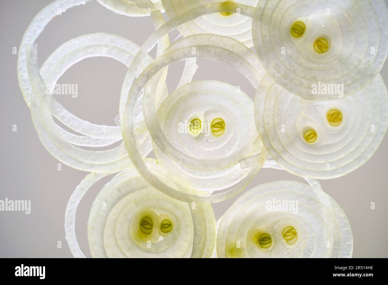 Raw onion rings Stock Photo - Alamy