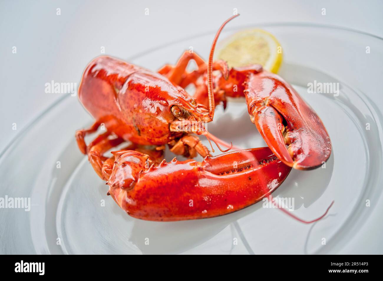 Inside red lobster hi-res stock photography and images - Alamy
