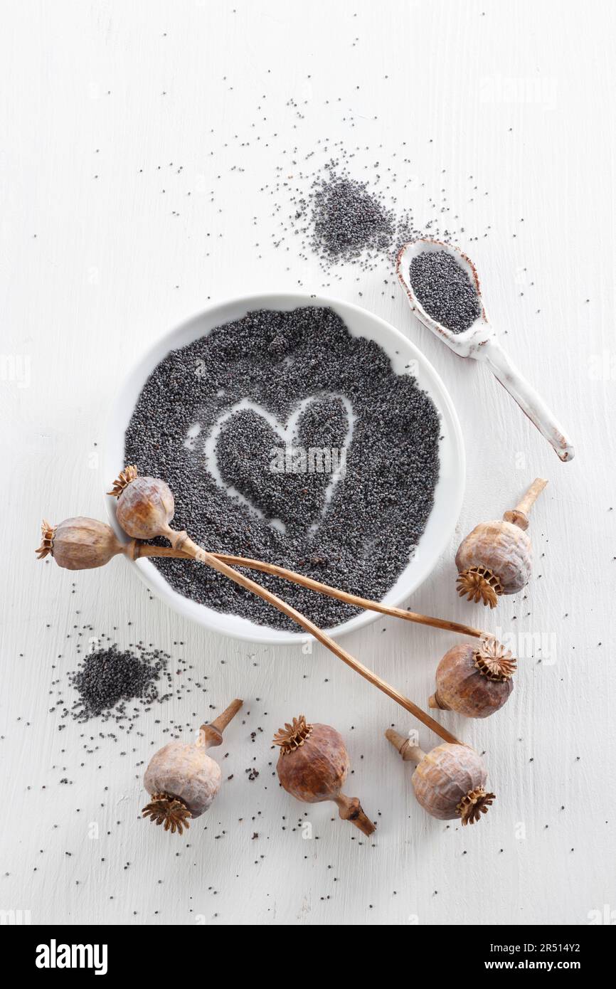 Poppy type hi-res stock photography and images - Alamy