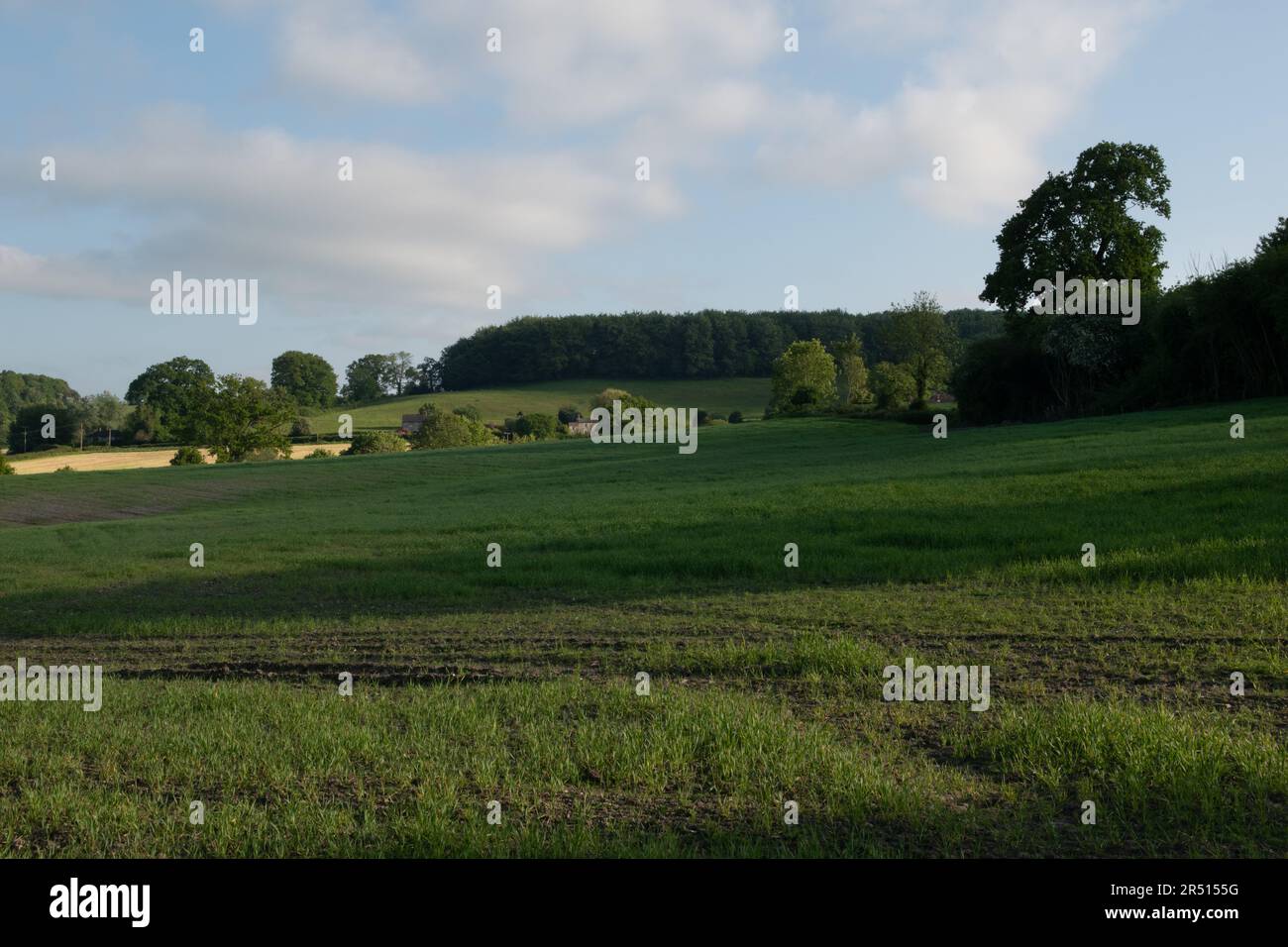 Countryside surrounding Horningsham, Wiltshire, England,- UK Stock ...