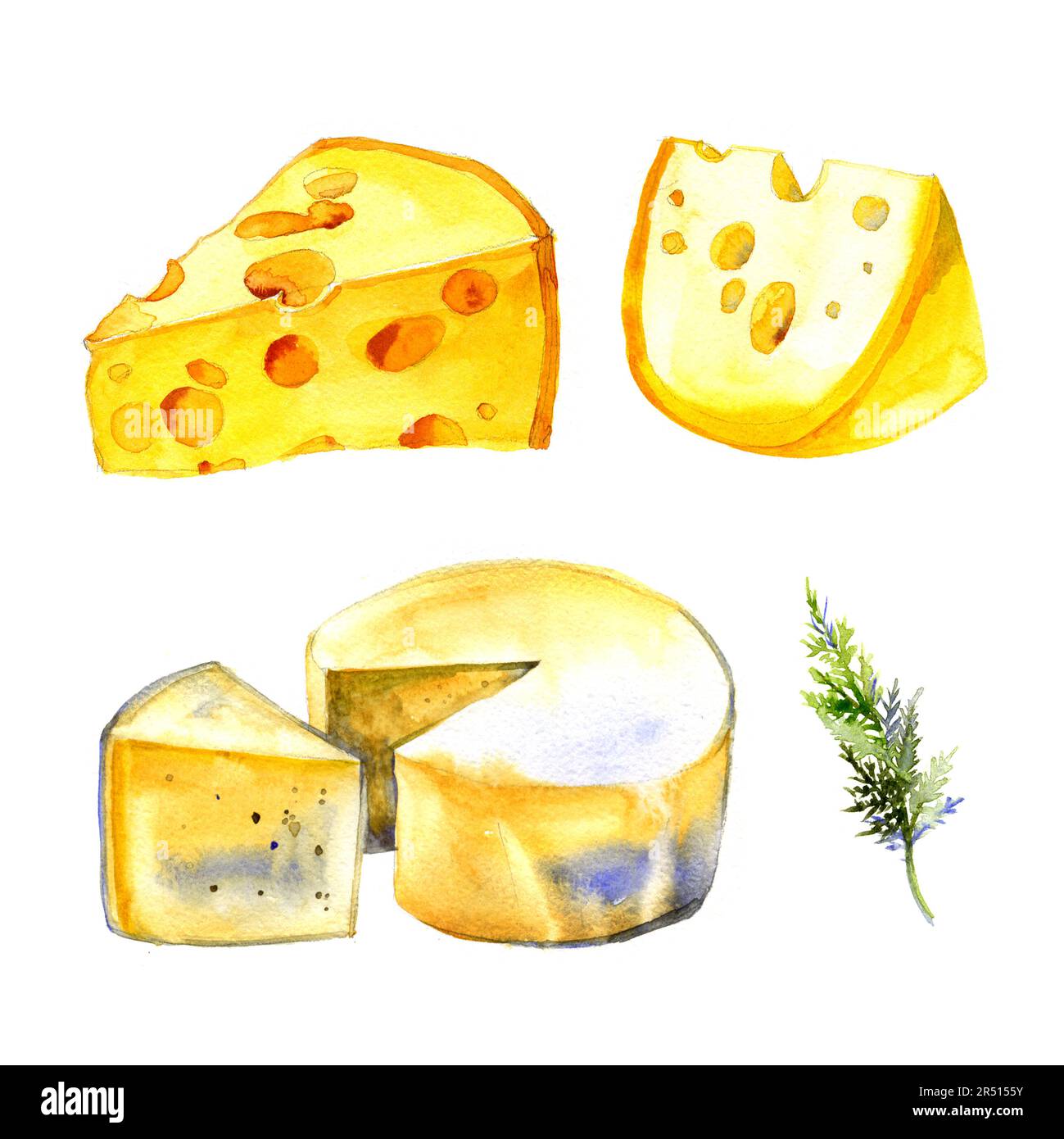 Watercolor milk cheese set on white background Stock Photo - Alamy