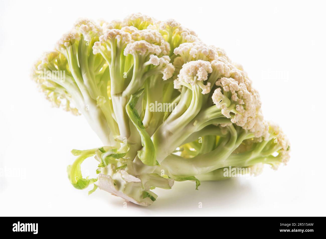Japanese cauliflower (caulilini) with long stems Stock Photo - Alamy