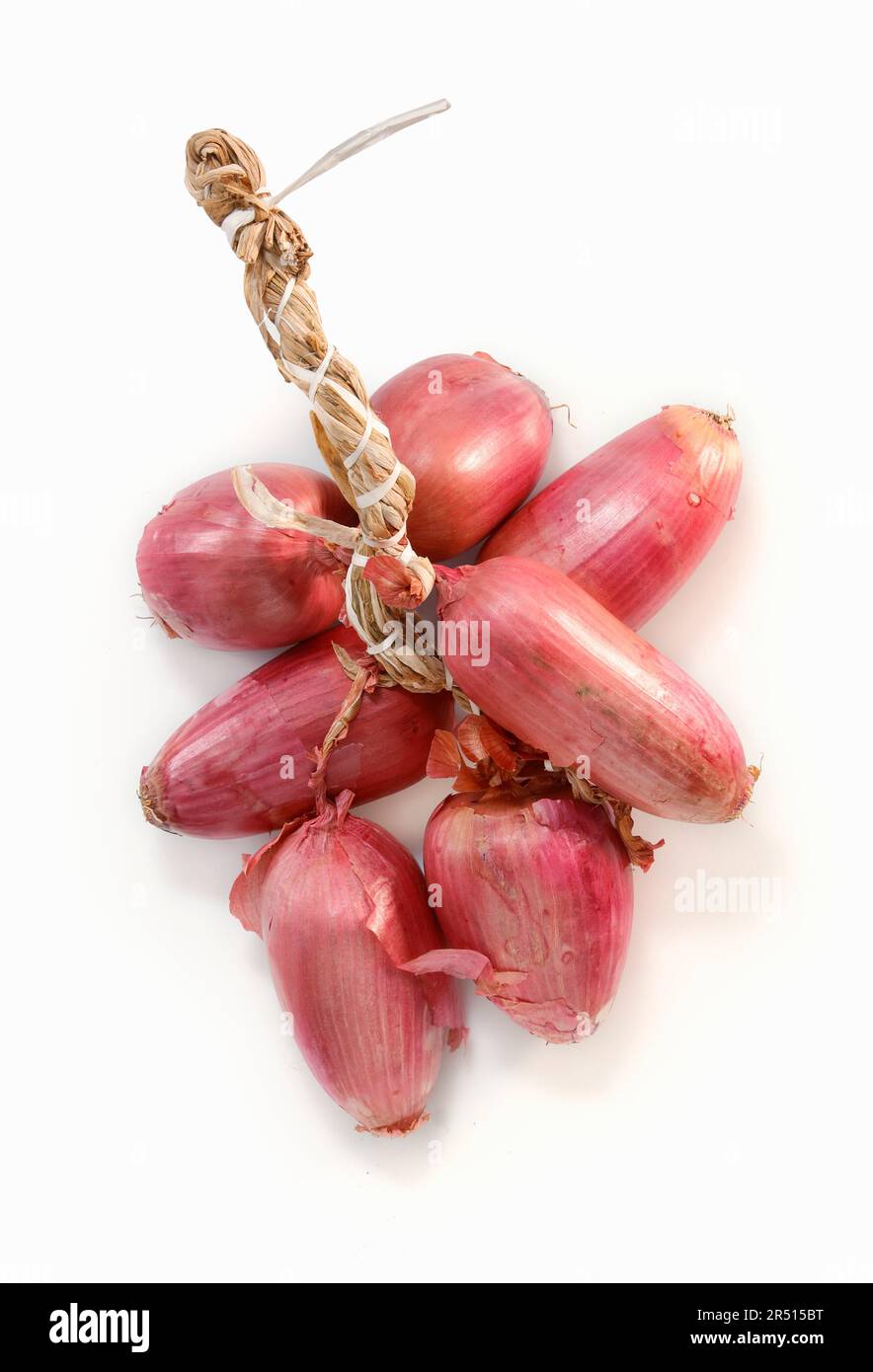 Italian red shallots Stock Photo - Alamy