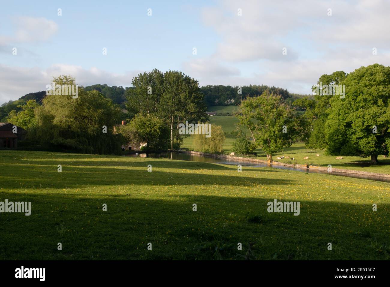 Mill Pond, Horningsham, Wiltshire, England, UK Stock Photo - Alamy