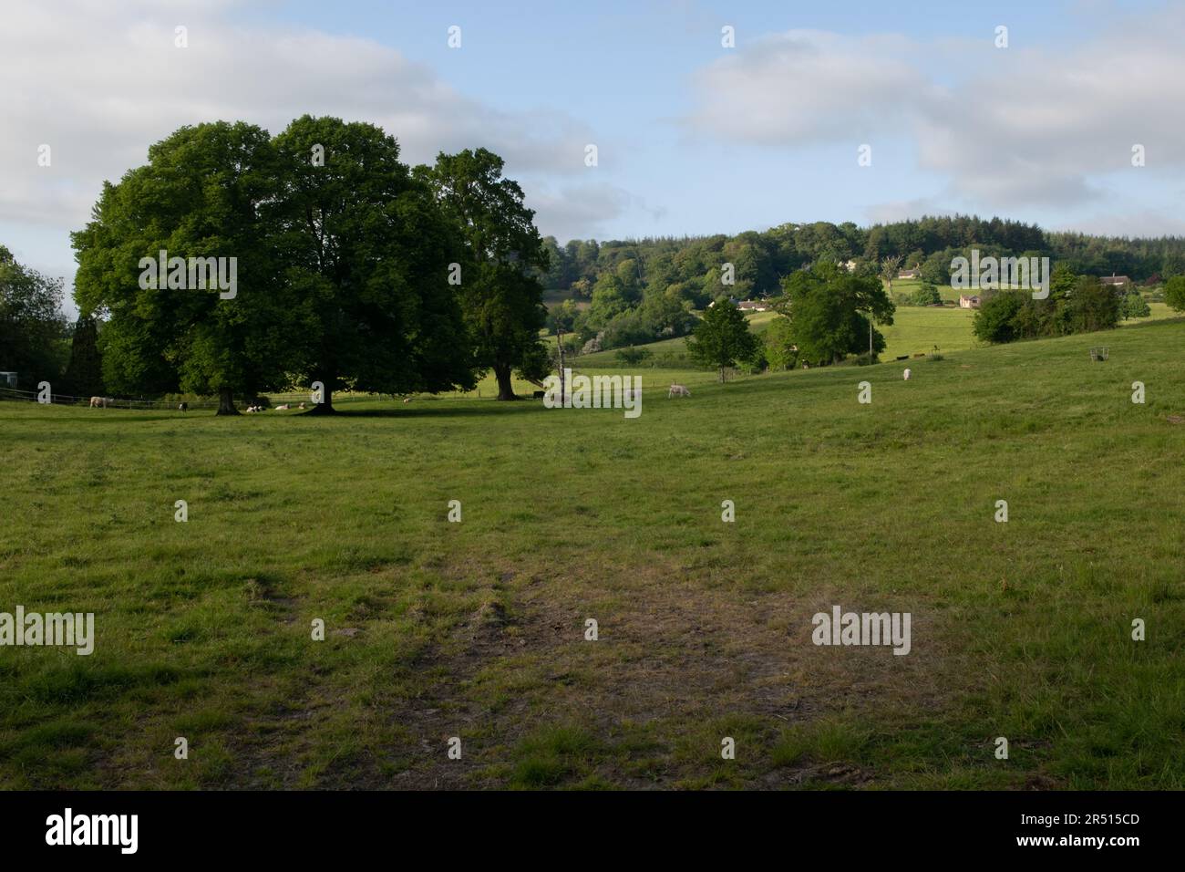 Countryside around Horningsham, Wiltshire, England Stock Photo - Alamy