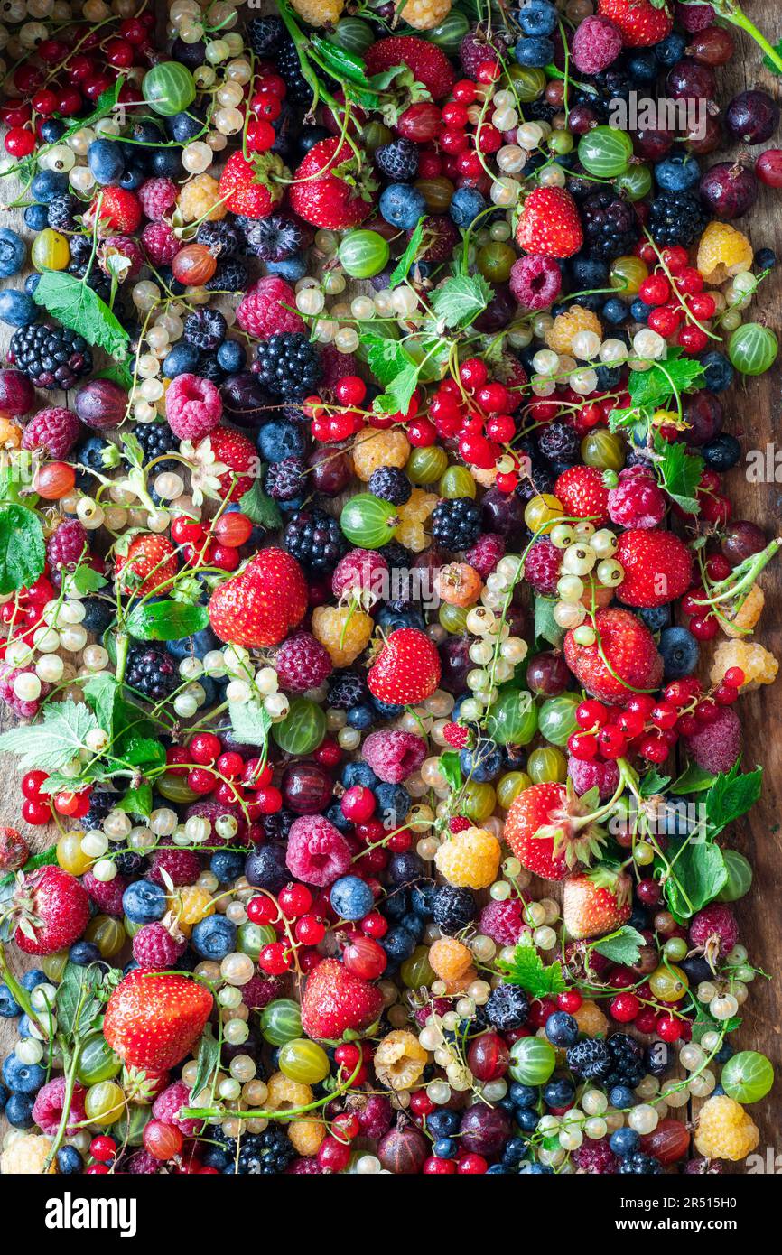 Full frame view mixed hi-res stock photography and images - Alamy
