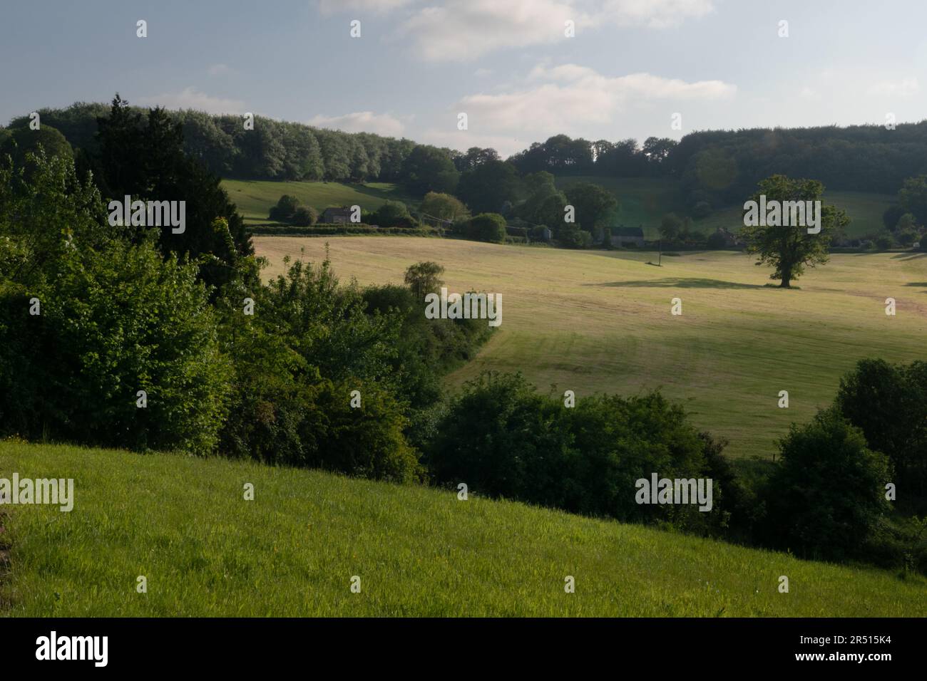 Countryside surrounding Horningsham, Wilshire, England Stock Photo - Alamy