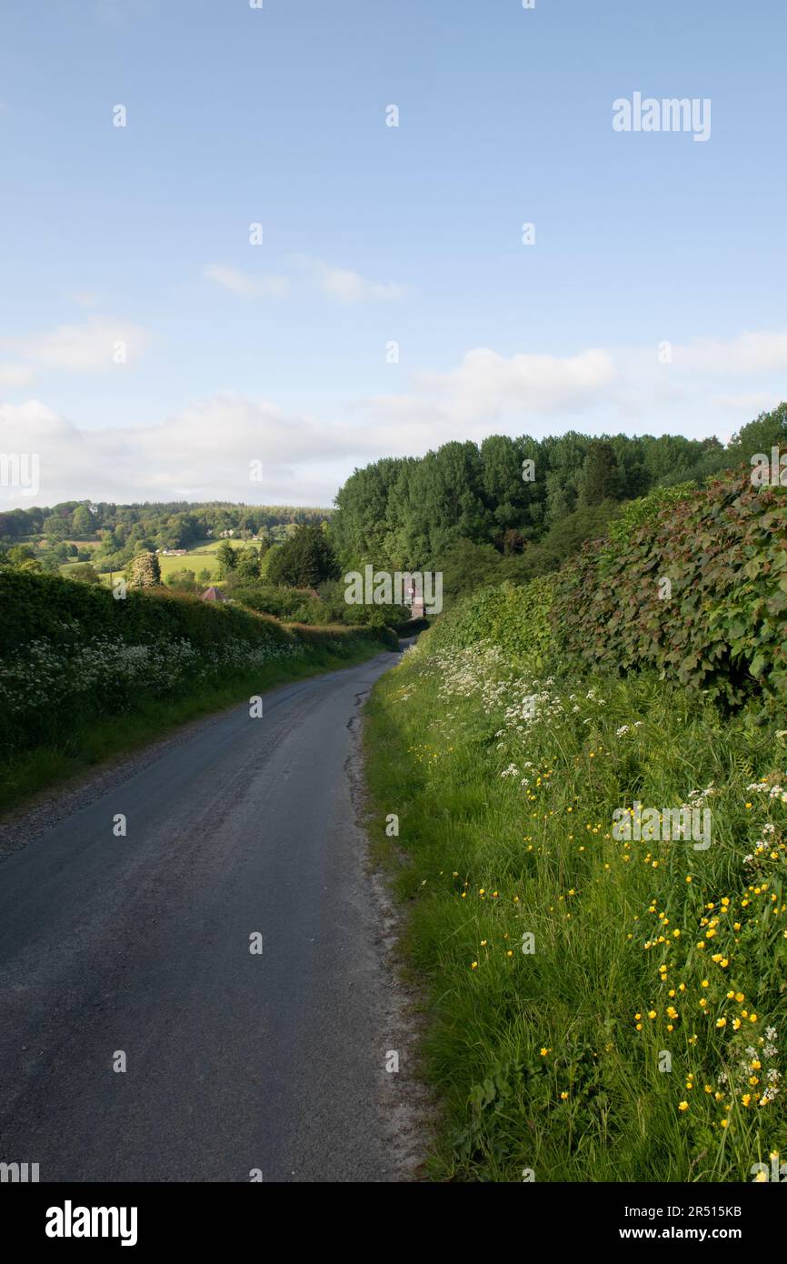 Country lane, Horningsham, Wiltshire, England Stock Photo - Alamy