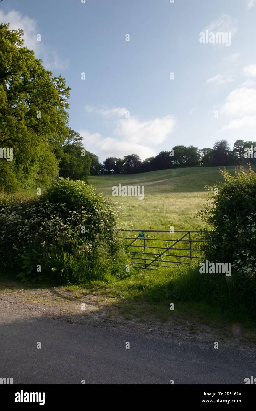 English Countryside in the summer, at Horningsham, Wiltshire, England ...