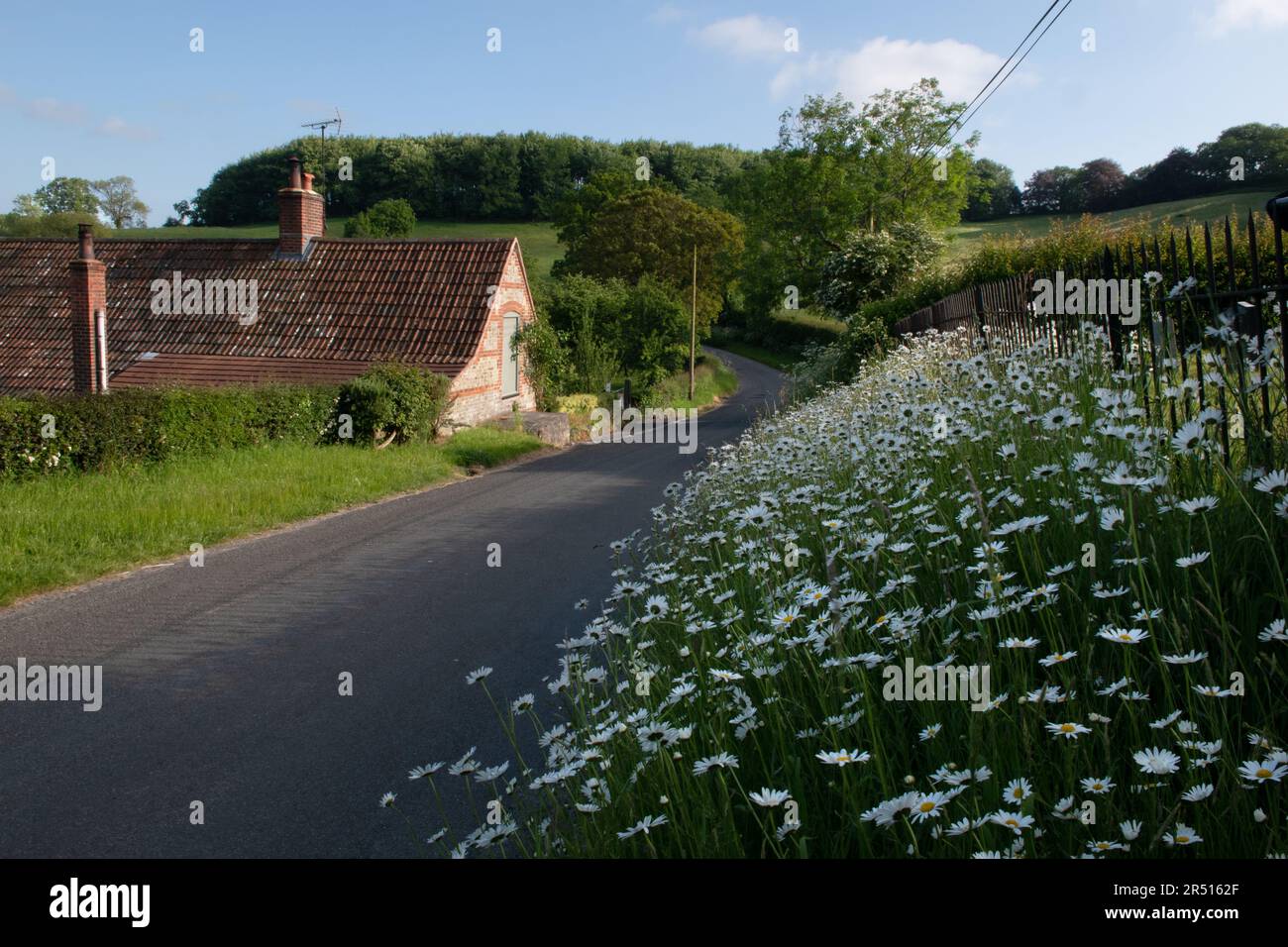 Horningsham hi-res stock photography and images - Alamy