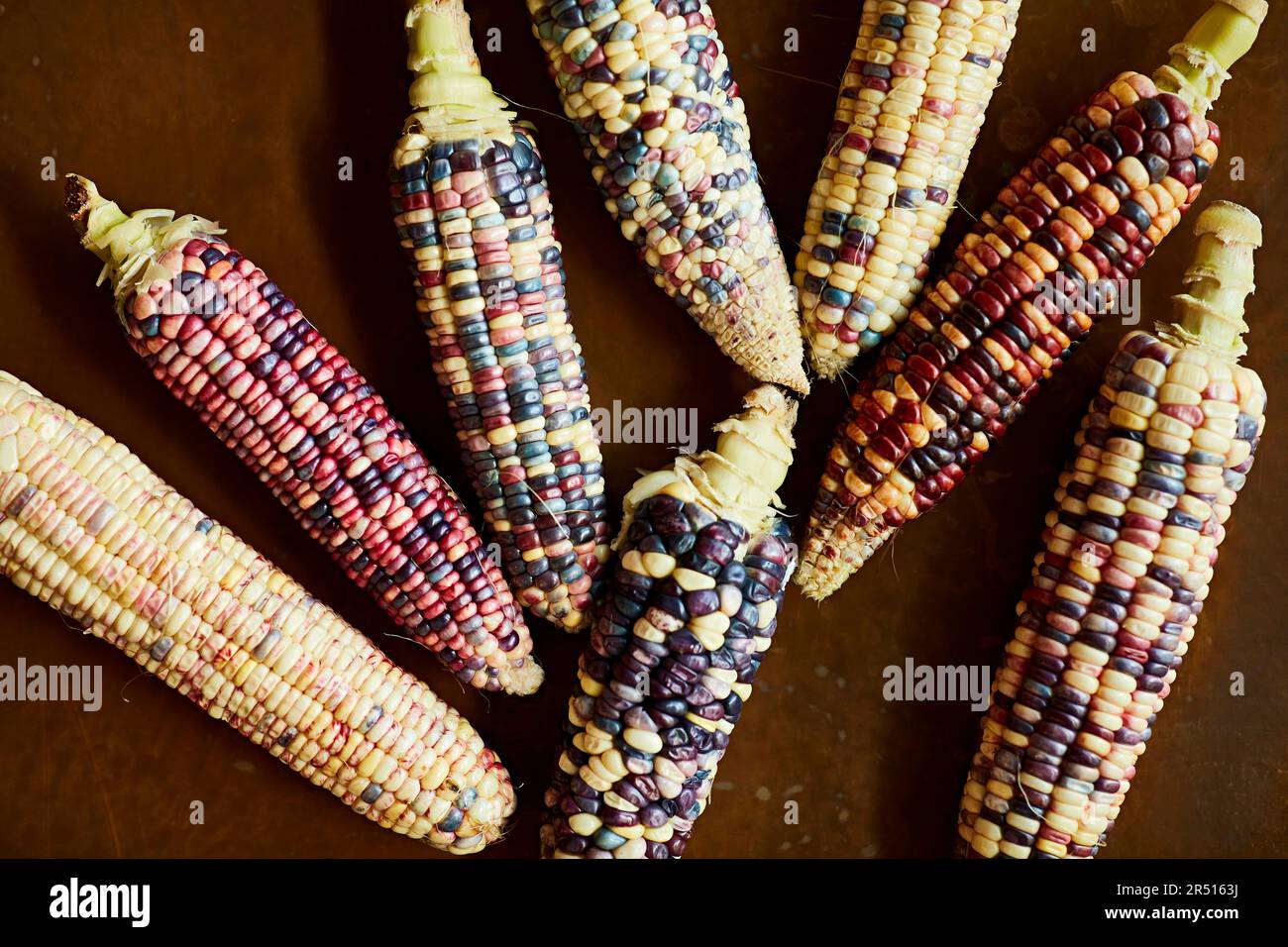 Colourful corn on the cob on a brown base Stock Photo - Alamy