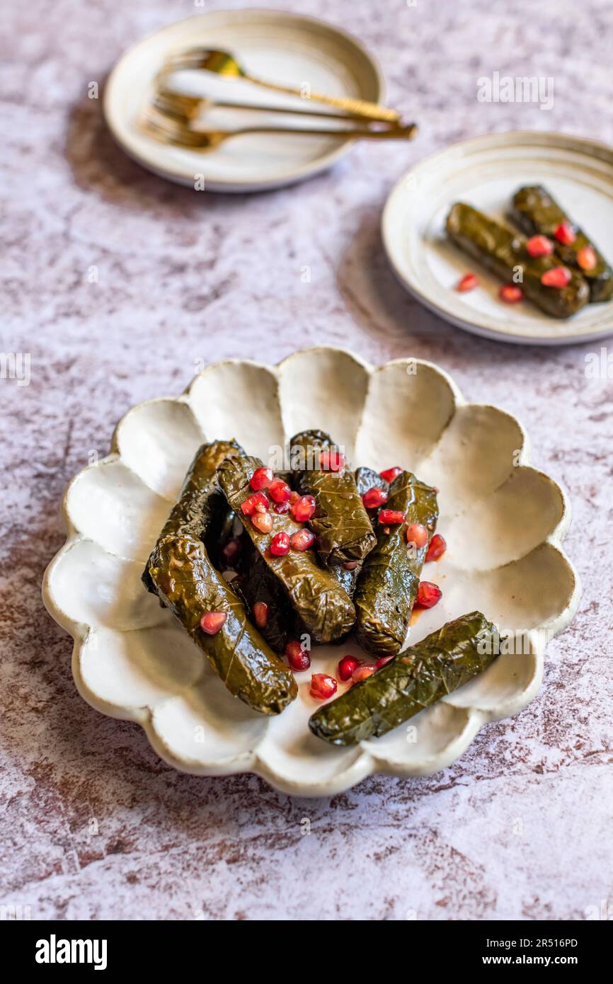 Warak Enab (Lebanese vine leaves with minced meat and rice filling ...