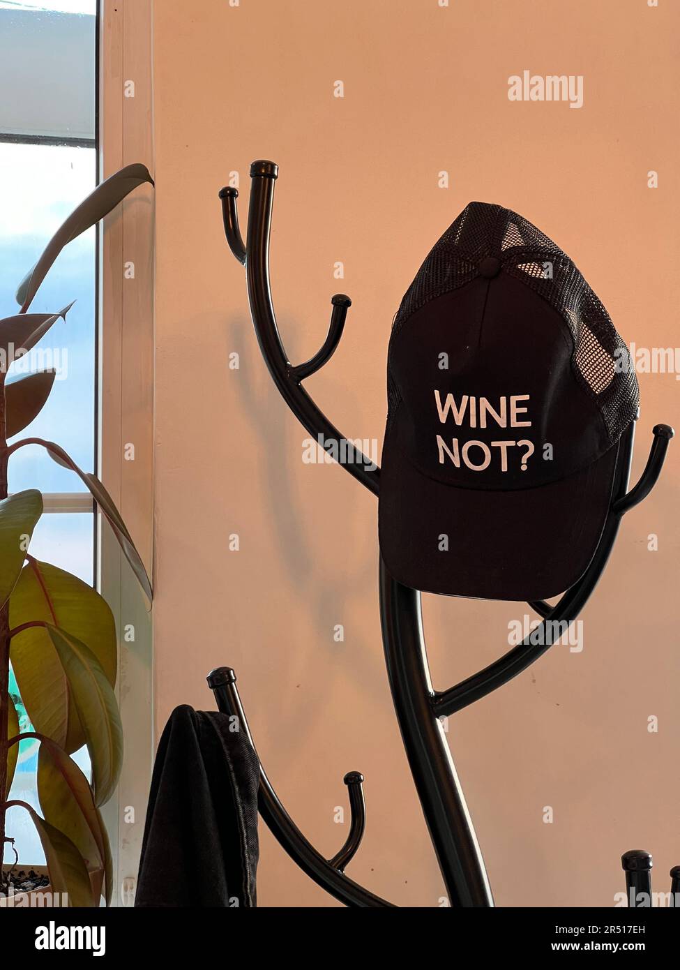 Empty hanger with black metal elements, there is a cap with the ...