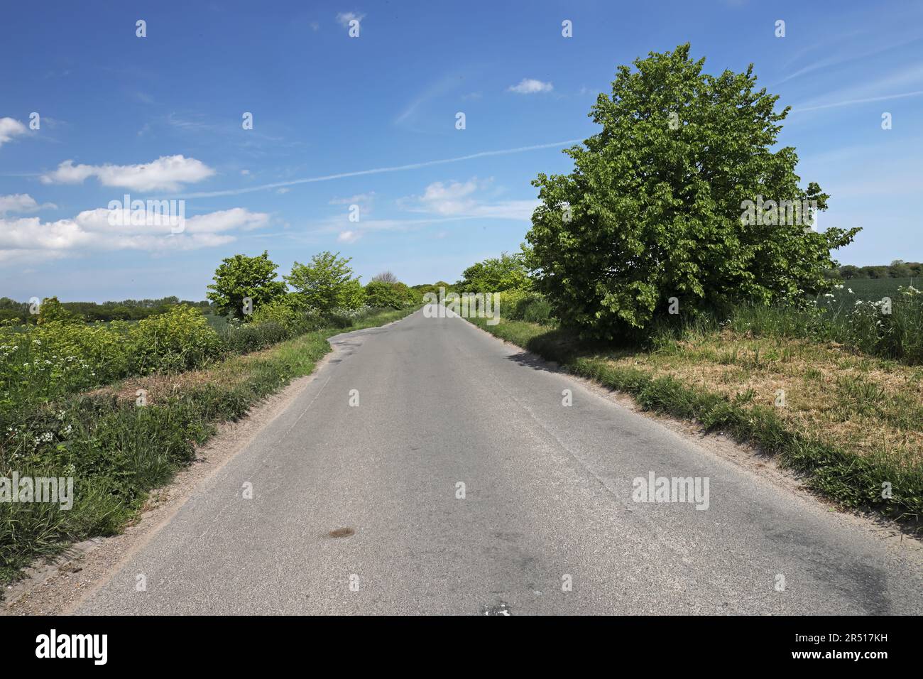 view along straight country road Long Lane, Lessingham, Norfolk, UK May ...