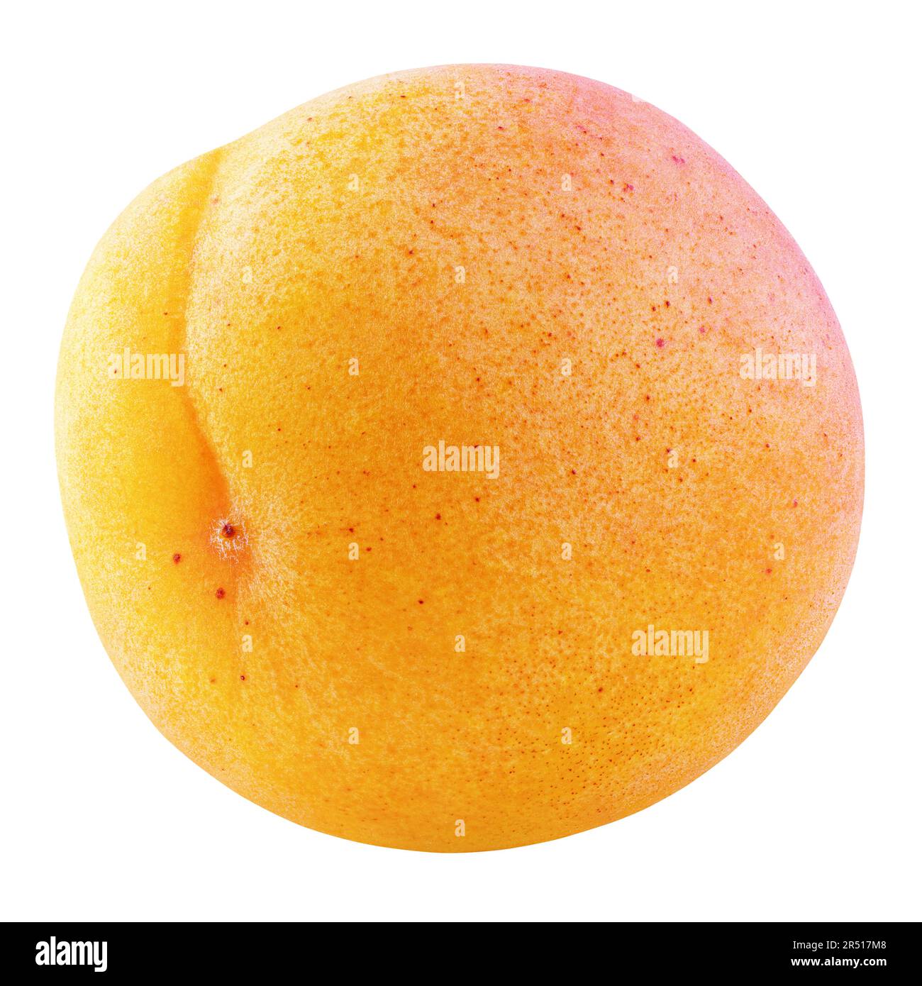 Single whole apricot or yellow plum fruit isolated on white background ...