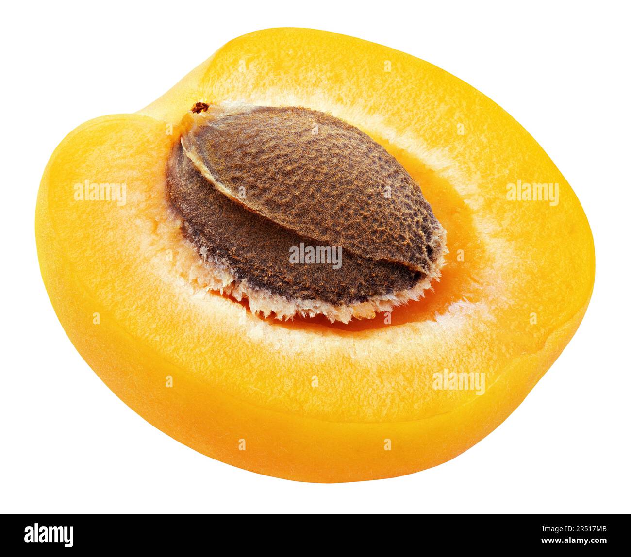Apricot half or yellow plum with kernel isolated on white background ...