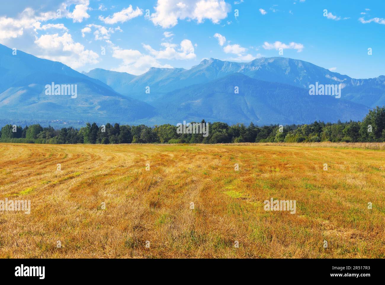 scenic rural tatra mountain landscape in slovakia. agricultural fields ...