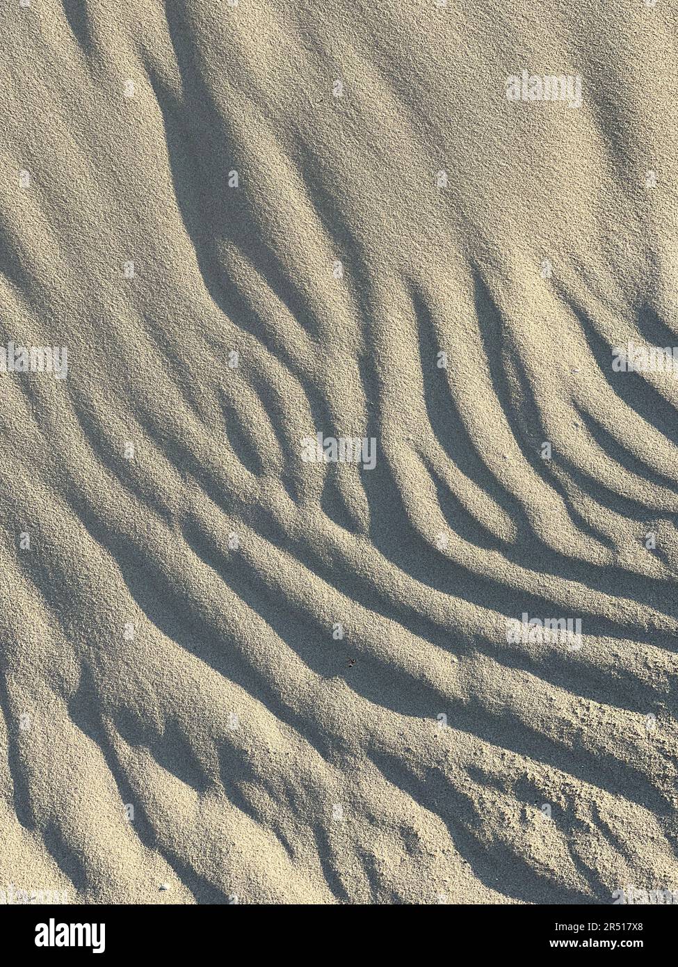 Sand texture. Sandy beach for background. Top view Stock Photo - Alamy