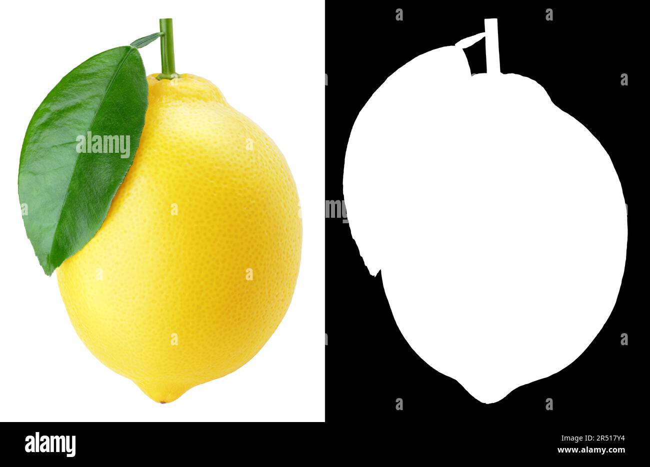 Whole yellow lemon citrus fruit with leaf isolated on white with ...