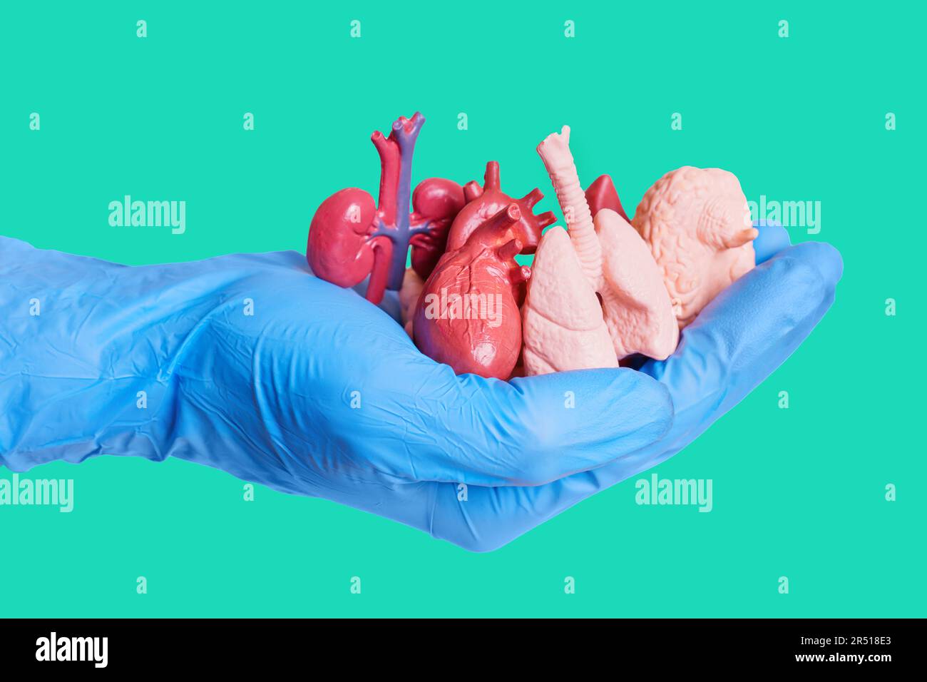 Close-up shot of a hand wearing blue surgical glove holding a handful ...
