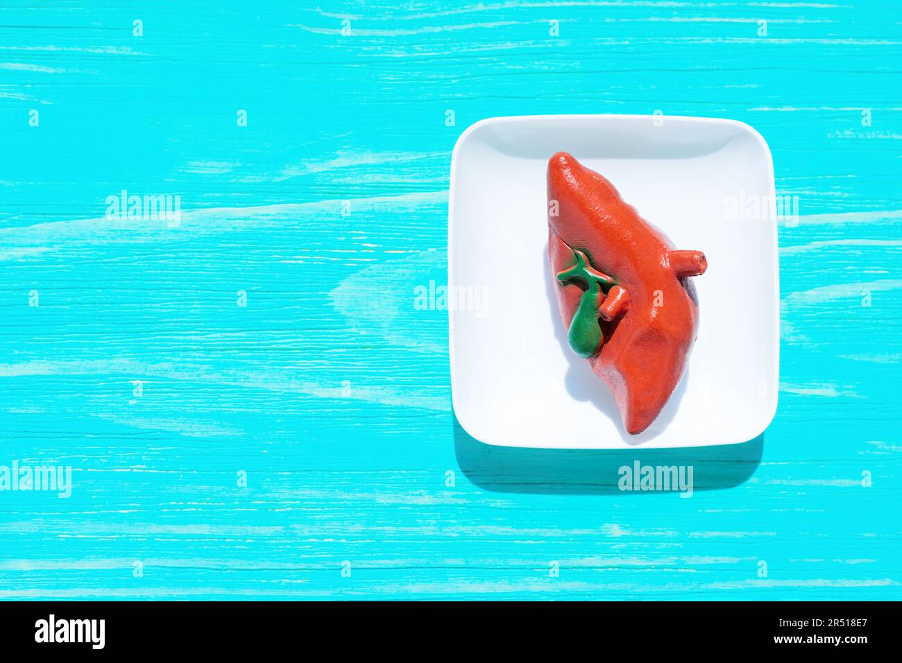 Top-down view of a miniature replica of a human liver placed on a white ...