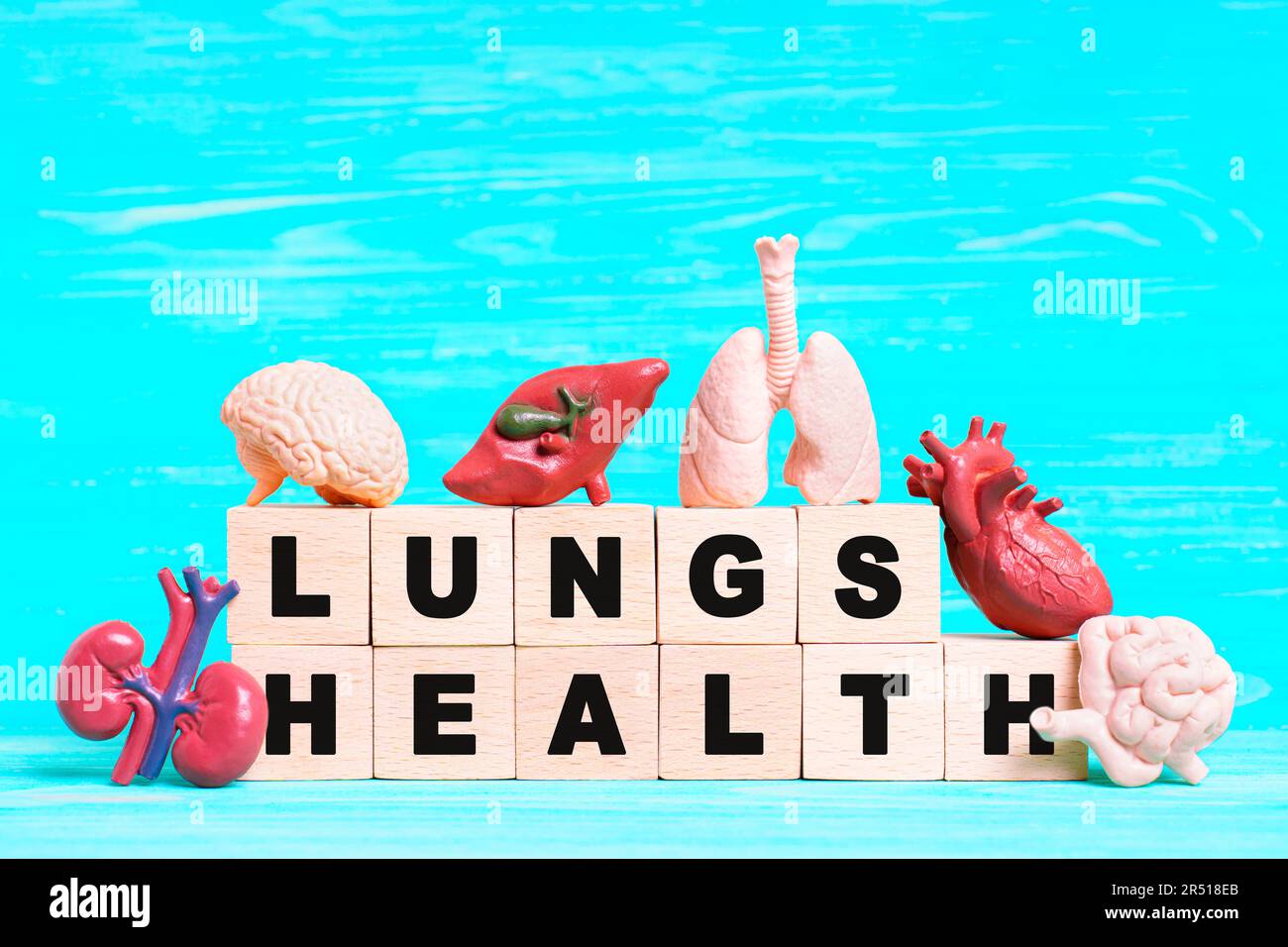 Words "LUNGS HEALTH" spelled out with wooden blocks, surrounded by toy ...