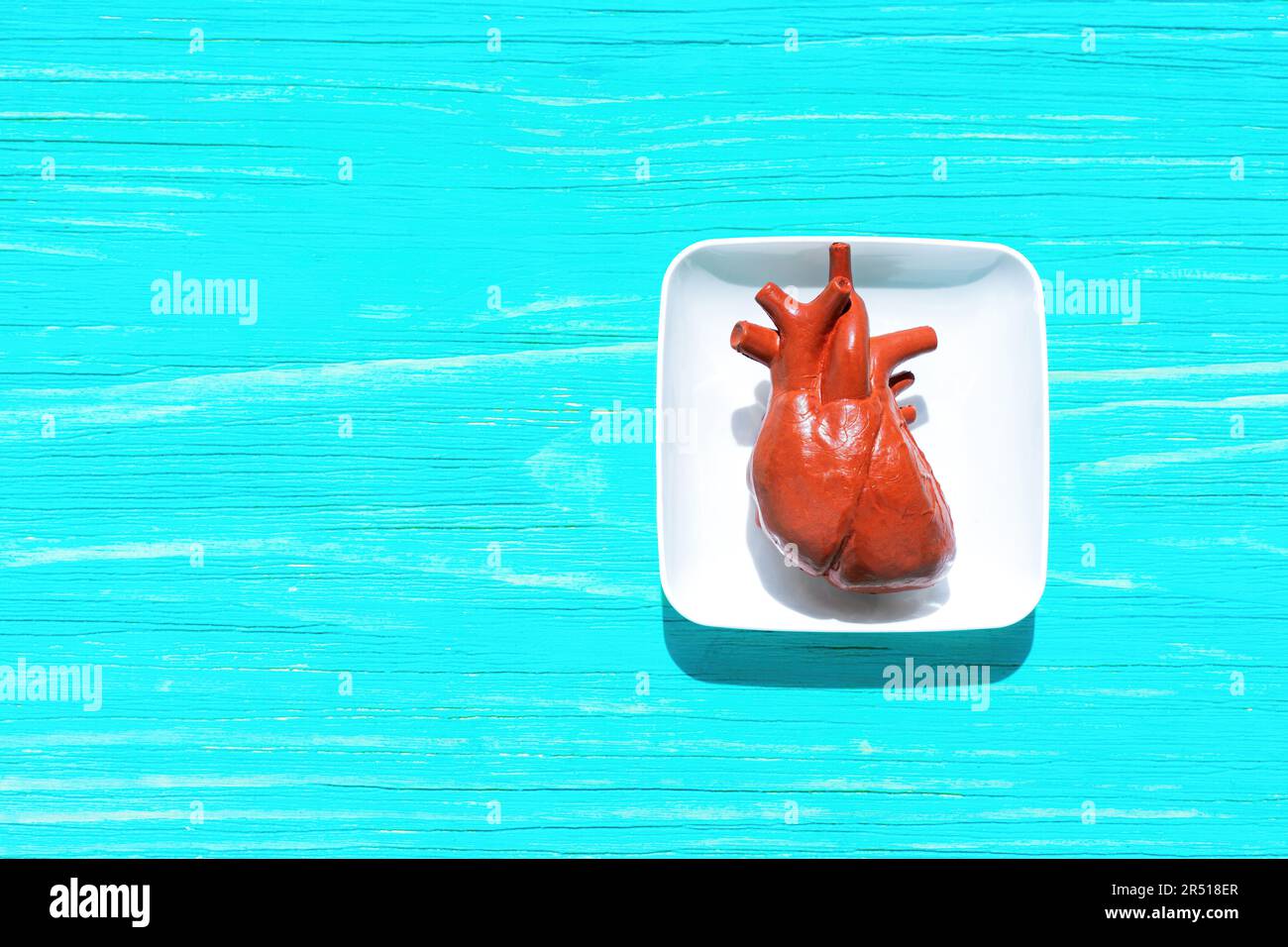Top-down view of a tiny replica of a human heart delicately placed on a ...