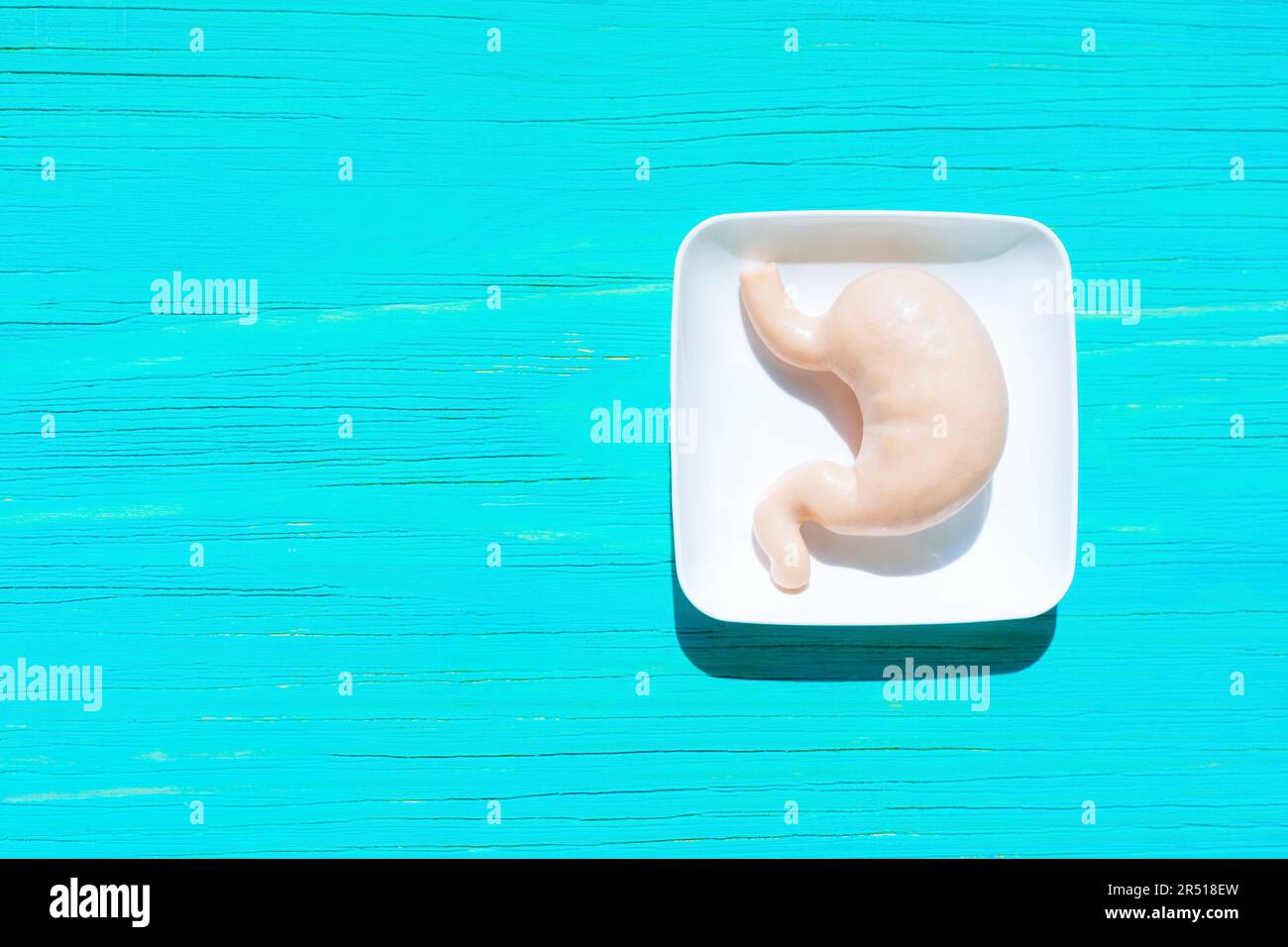 Miniature replica of the human stomach placed on a white tray, set on a ...