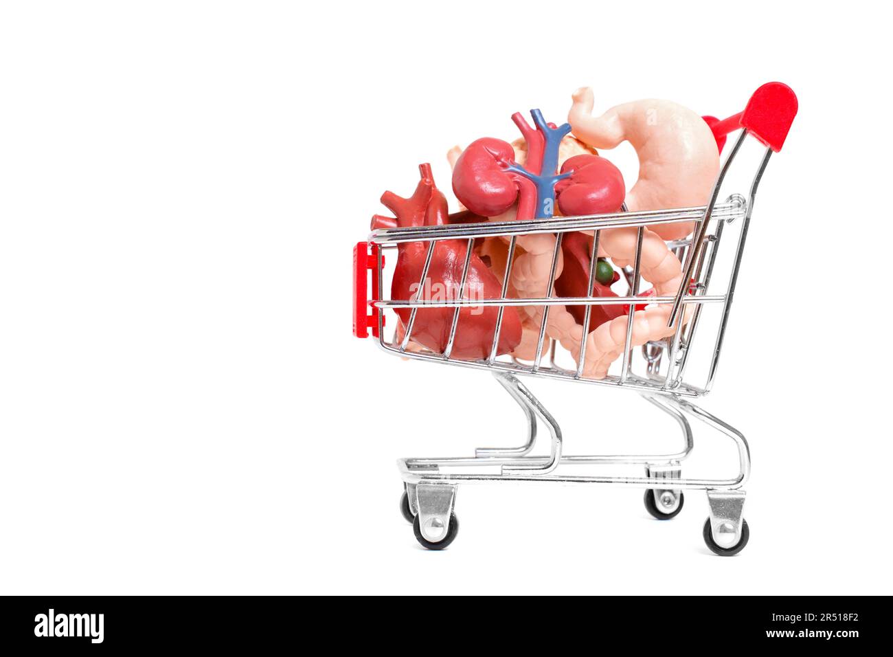 Replica study Cut Out Stock Images & Pictures - Alamy