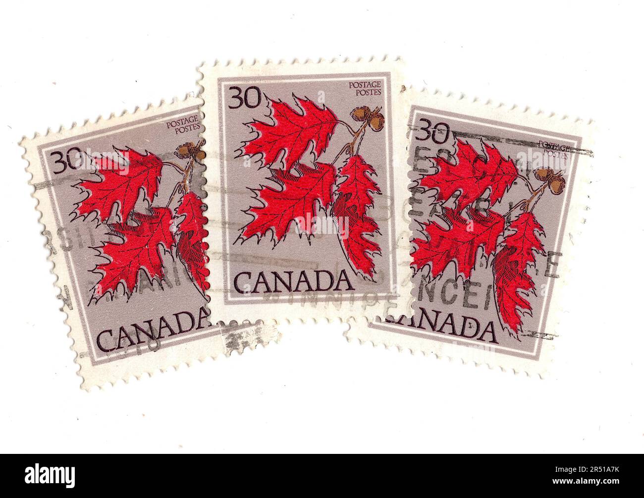 Vintage postage stamps from Canada featuring red oak leaves isolated on ...