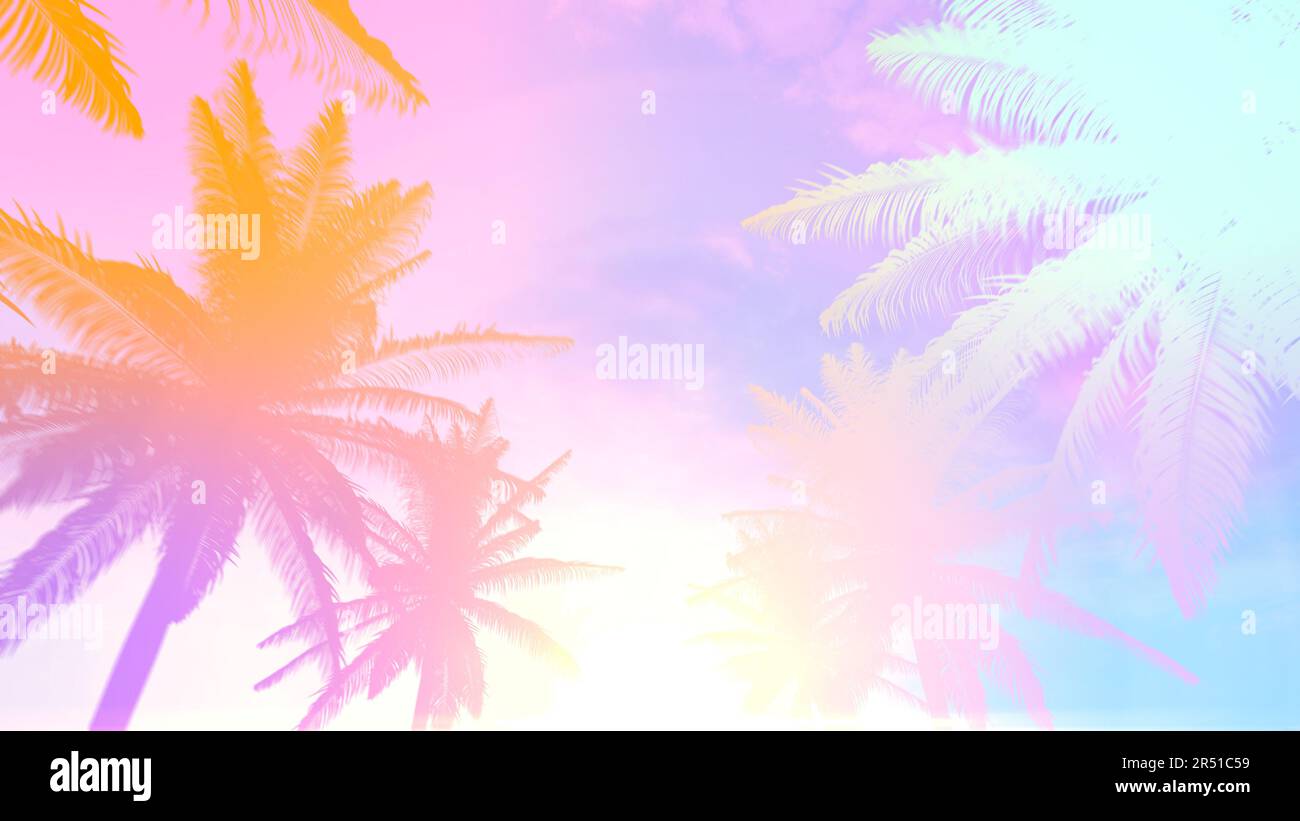 1980s retro background with tropical summer palm tree and sunlight ...