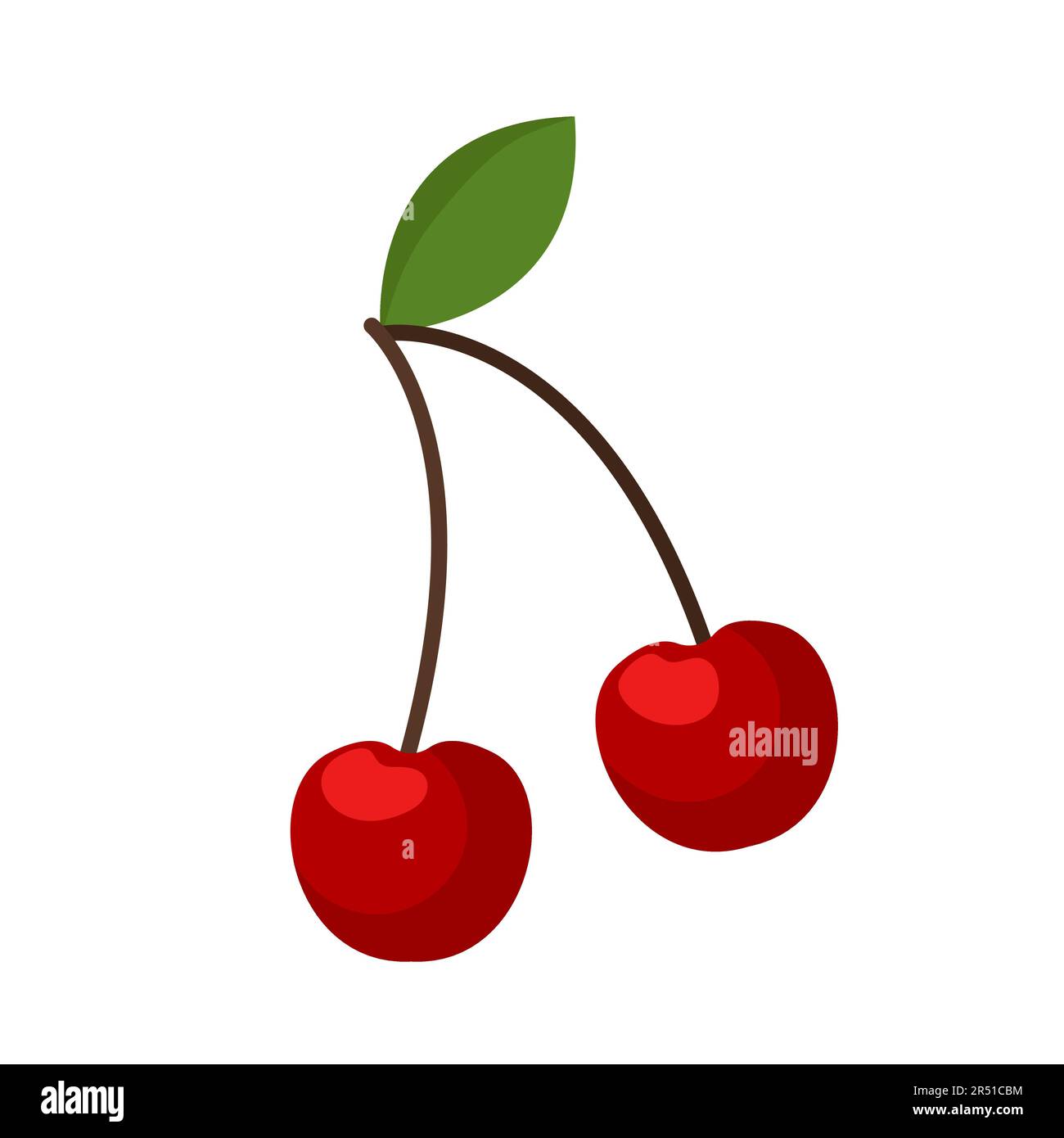Vector cherry illustration. Isolated on white background Stock Vector ...