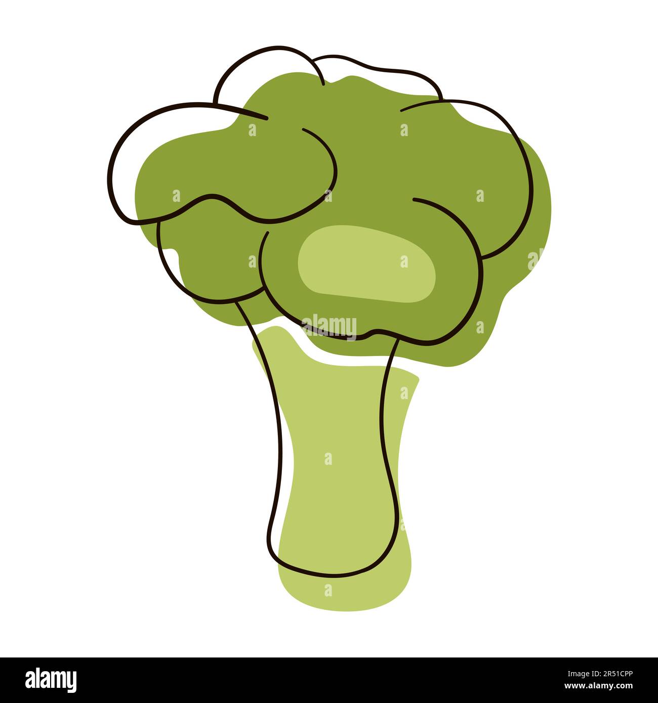 Broccoli line drawing. Flat illustration of Broccoli vector isolated on ...