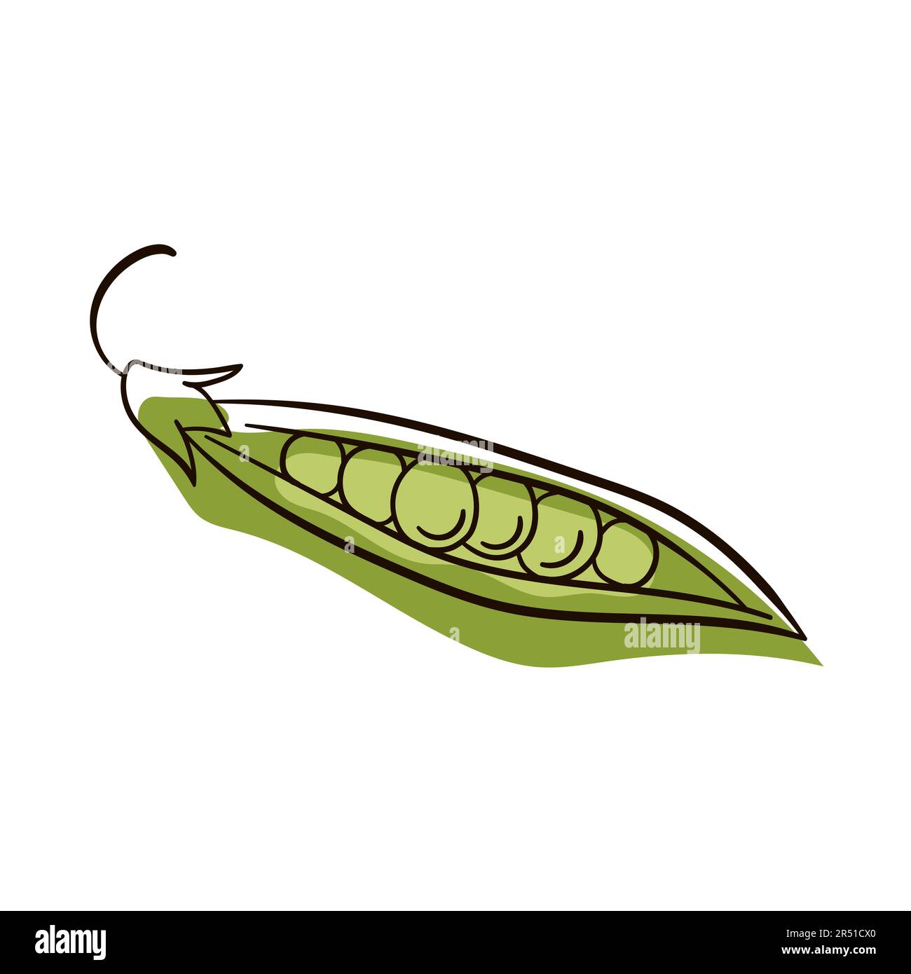 Peas line drawing. Flat illustration of Peas vector isolated on white ...
