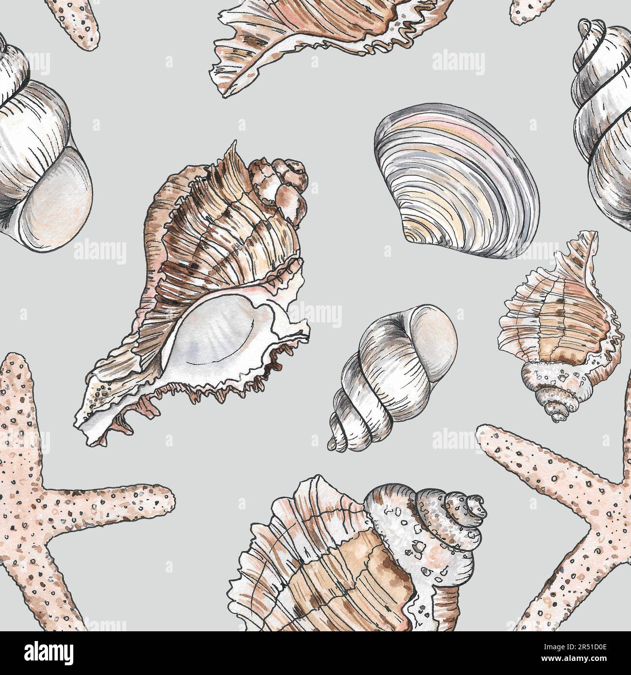 Hand drawn vector illustrations - seamless pattern of seashells. Marine ...