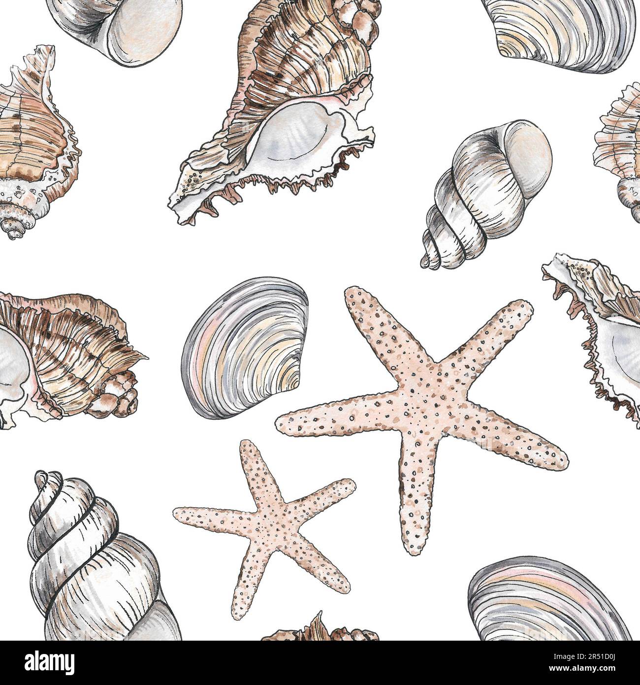 Hand drawn vector illustrations - seamless pattern of seashells. Marine ...