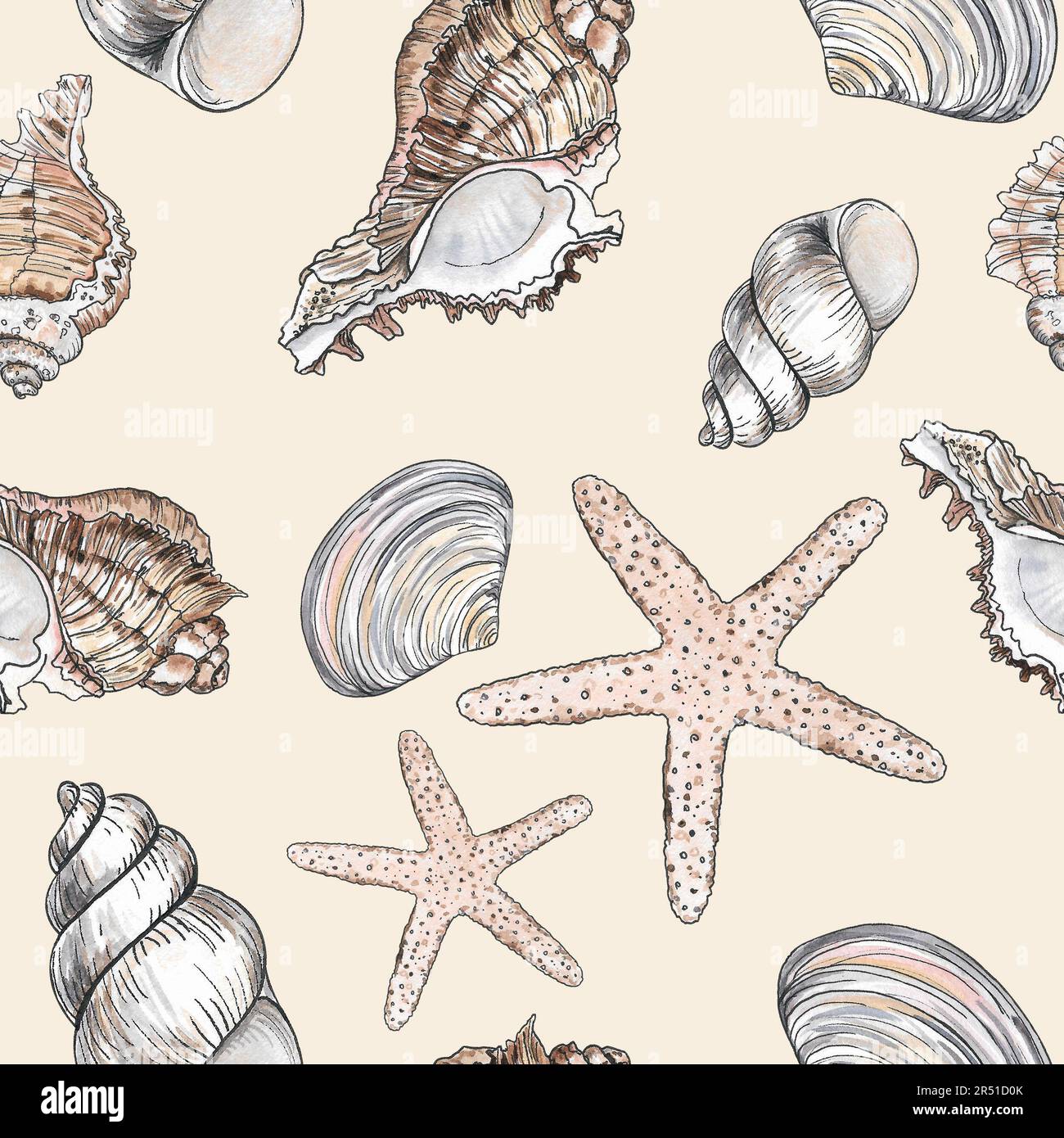 Hand drawn vector illustrations - seamless pattern of seashells. Marine ...