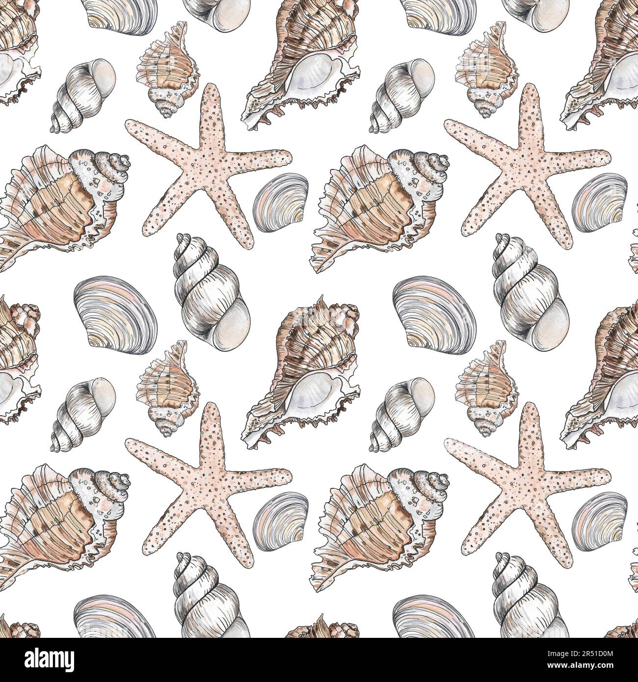 Hand drawn vector illustrations - seamless pattern of seashells. Marine ...
