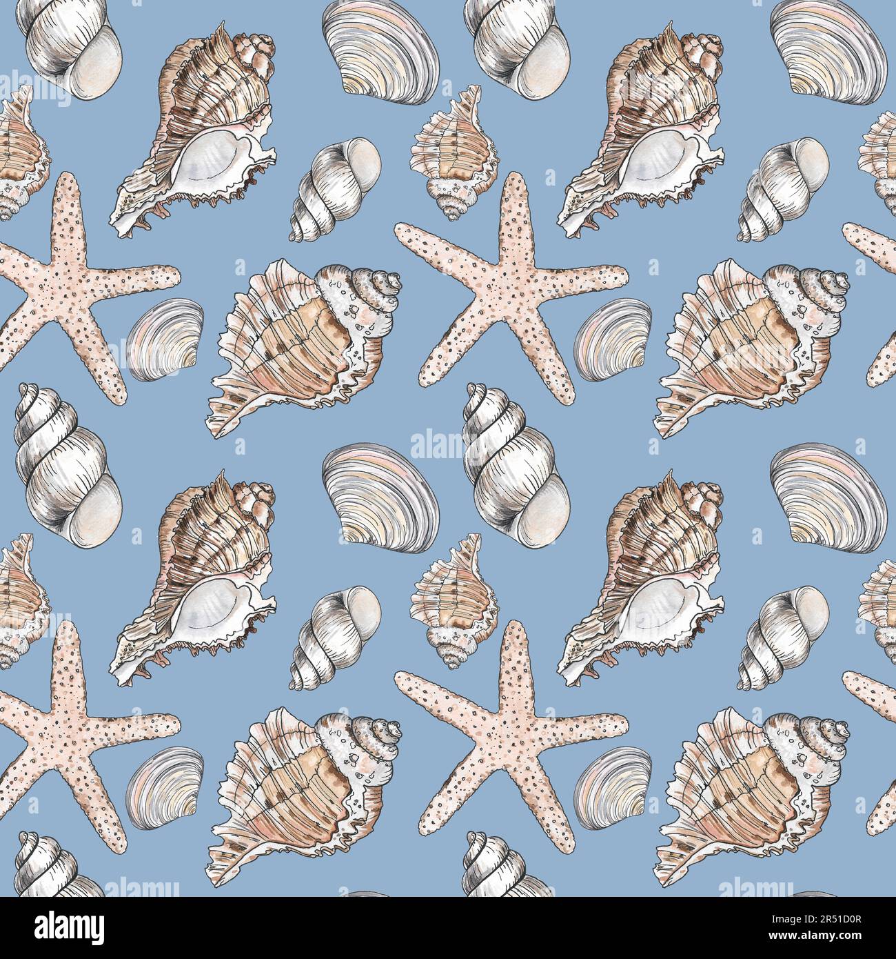 Hand drawn vector illustrations - seamless pattern of seashells. Marine ...