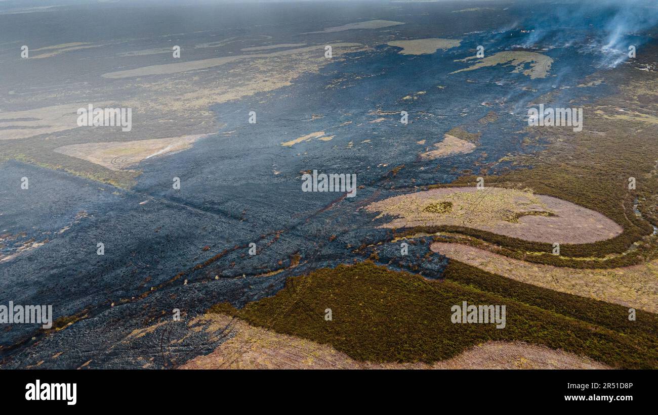 Sheffield, UK, 31 May 2023. Aftermath of the fire on Lady Cannings ...