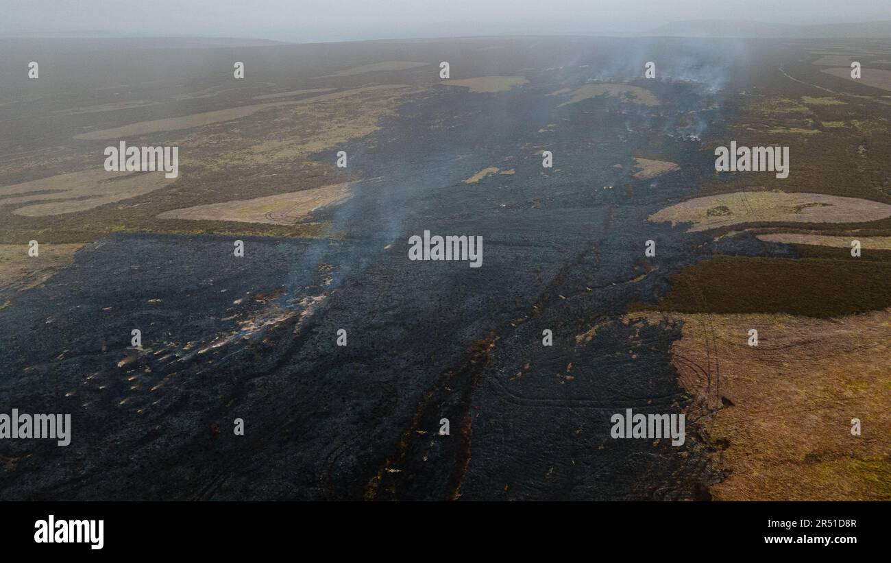 Sheffield, UK, 31 May 2023. Aftermath of the fire on Lady Cannings Plantation on the Sheffield ...