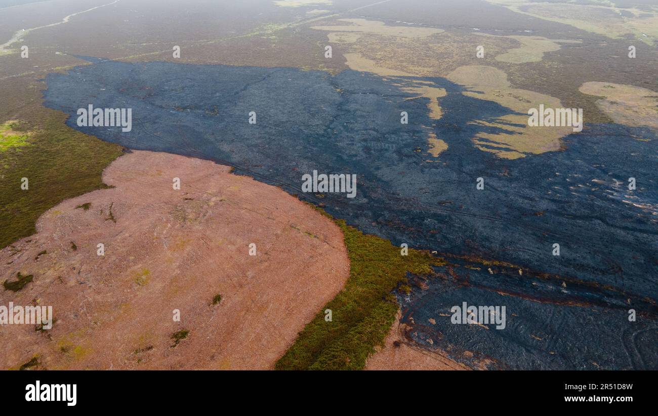 Sheffield, UK, 31 May 2023. Aftermath of the fire on Lady Cannings Plantation on the Sheffield ...