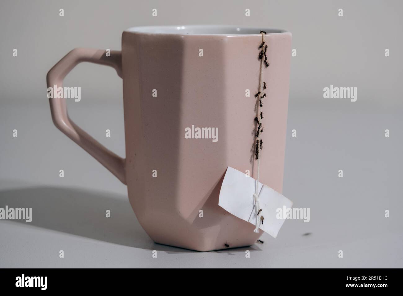 Ants on a cup in the house - coming in on a string Stock Photo - Alamy