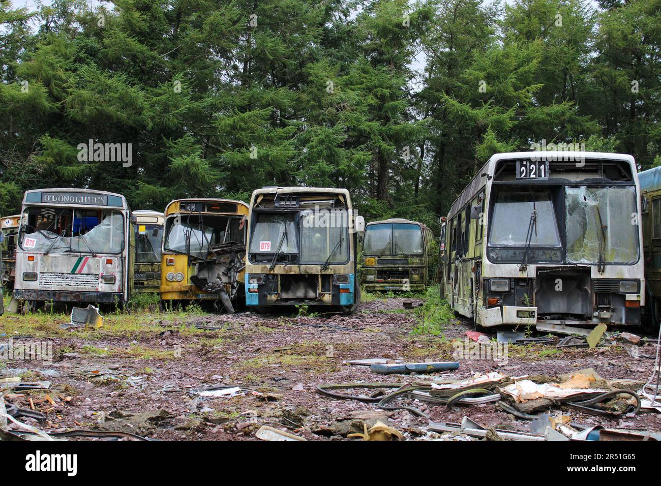 There are coaches and buses left to decay. CORK, IRELAND: IMAGES ...