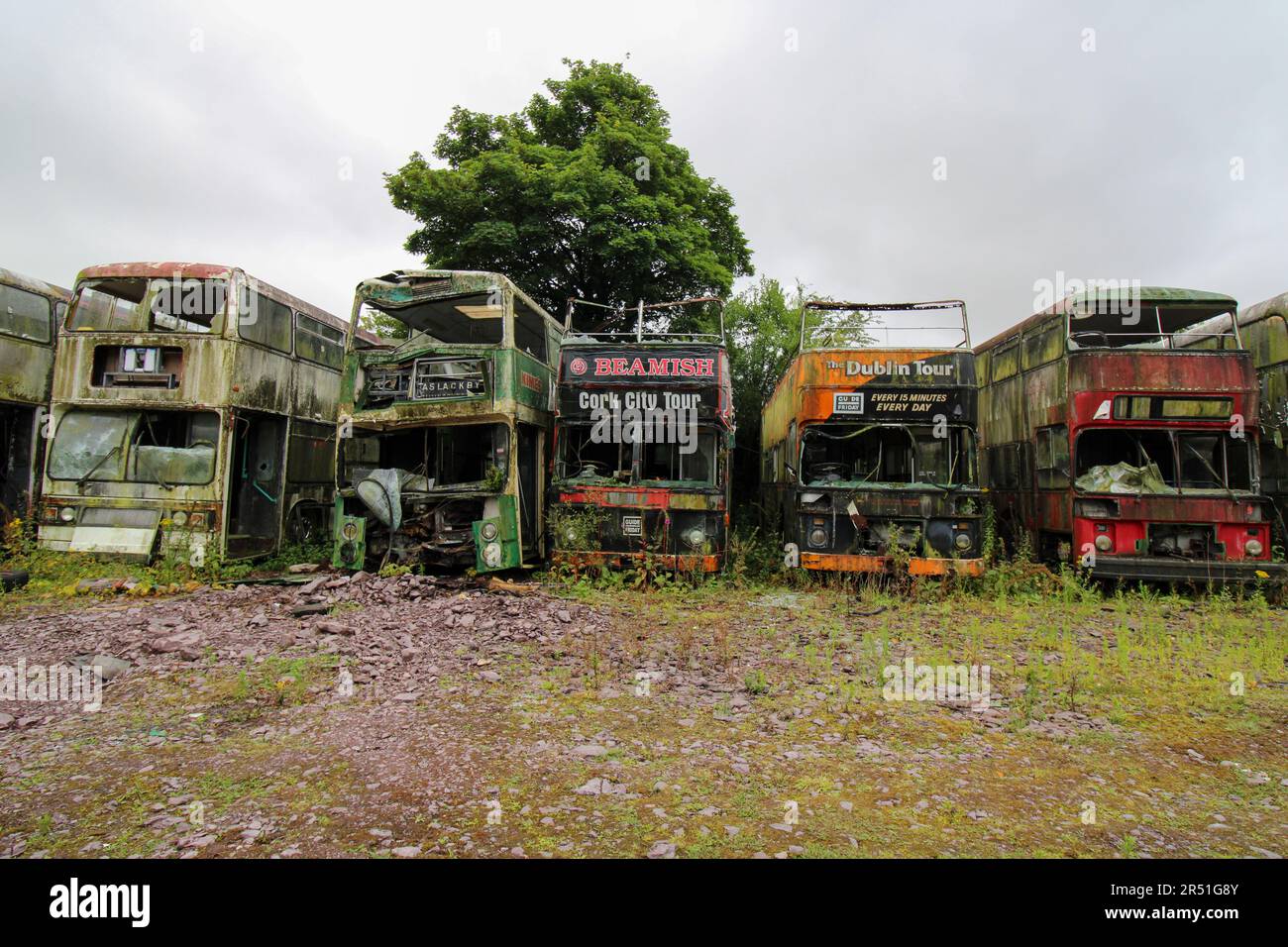 The museum was meant to go through Irish transport's history. CORK ...