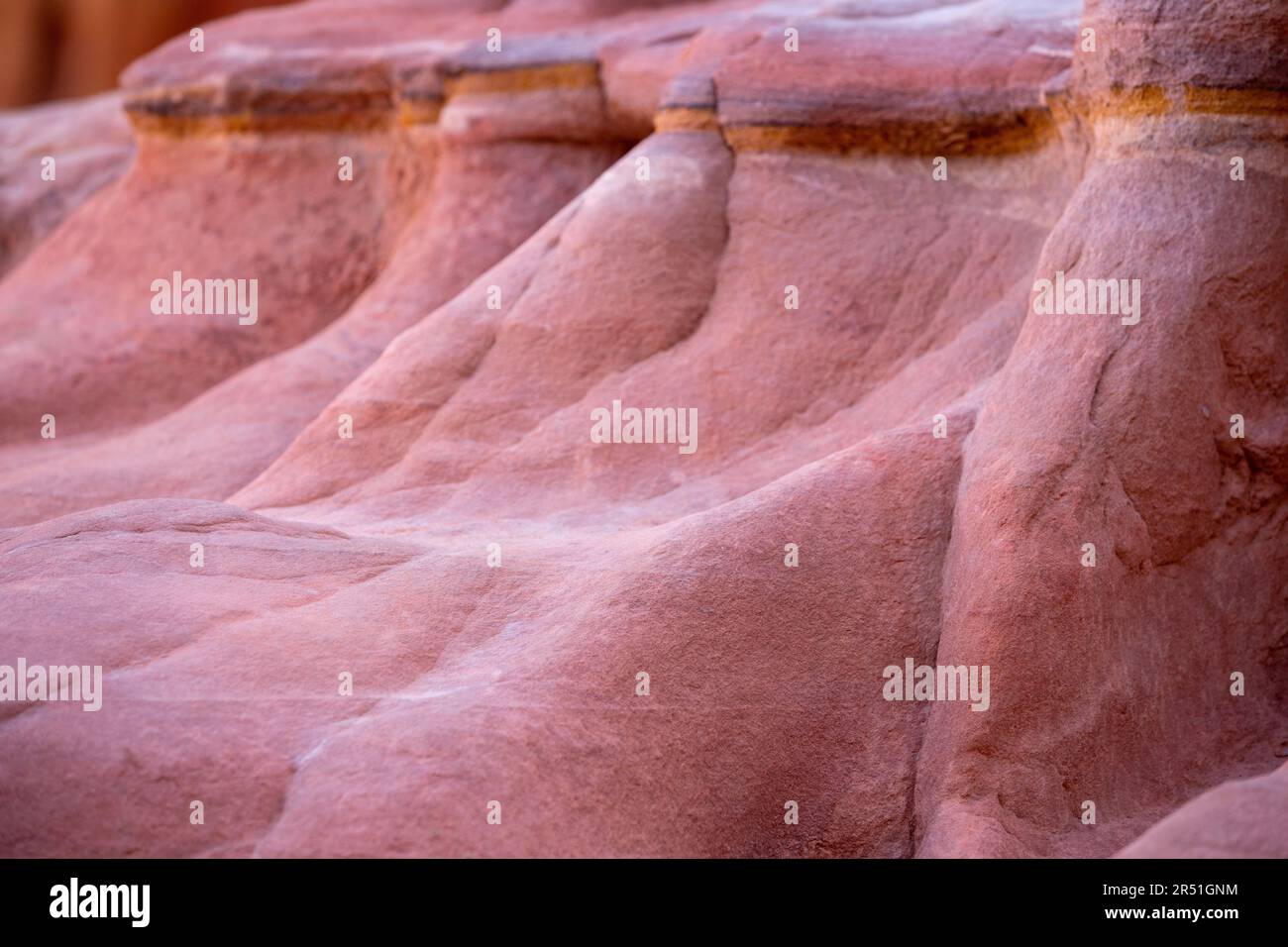 The Siq, narrow red canyon wall texture background in Petra, Jordan ...