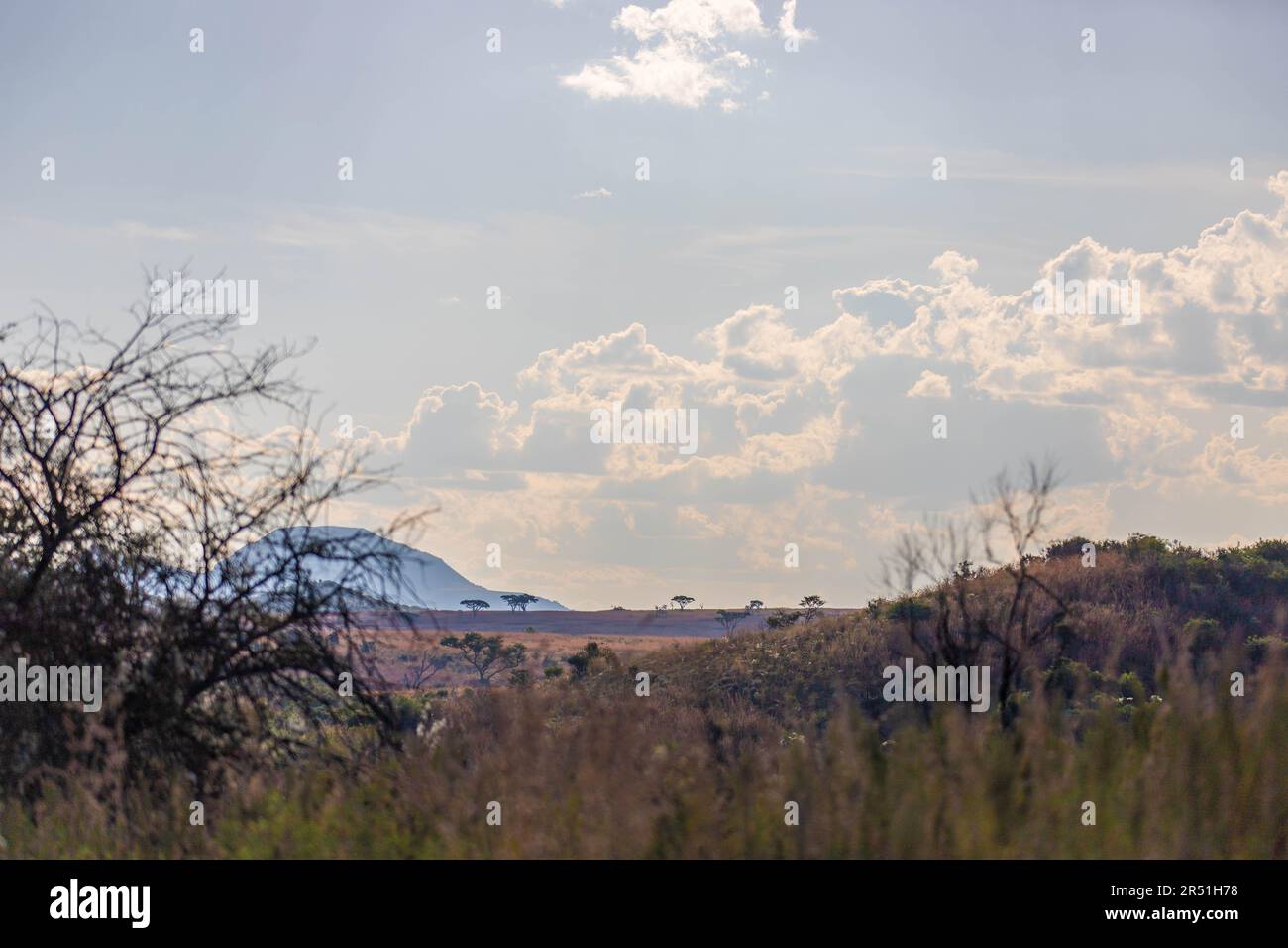 Landscape of Nambiti Game Reserve, South Africa Stock Photo - Alamy