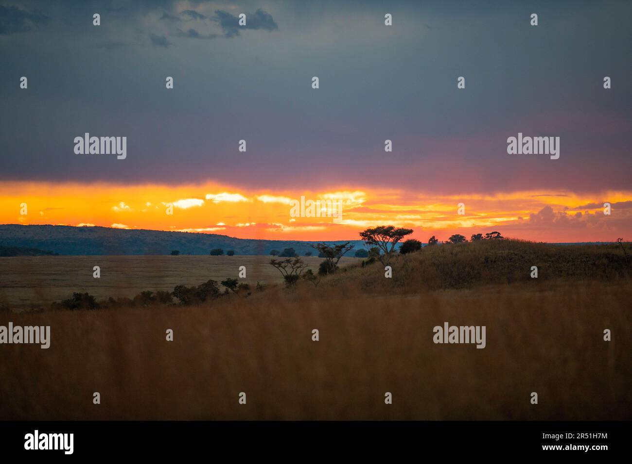 Landscape of Nambiti Game Reserve, South Africa Stock Photo - Alamy